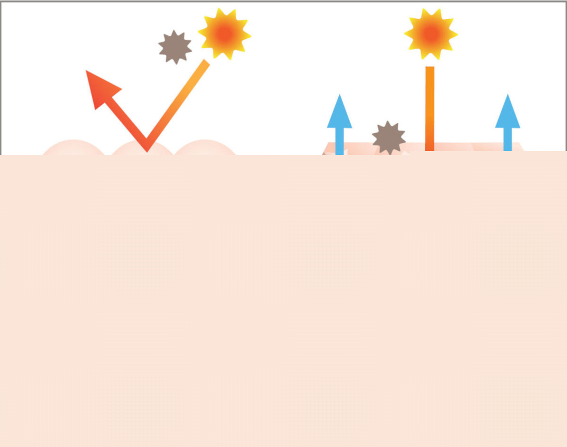 Ceramidi: cosa sono e perché sono importanti nella skincare